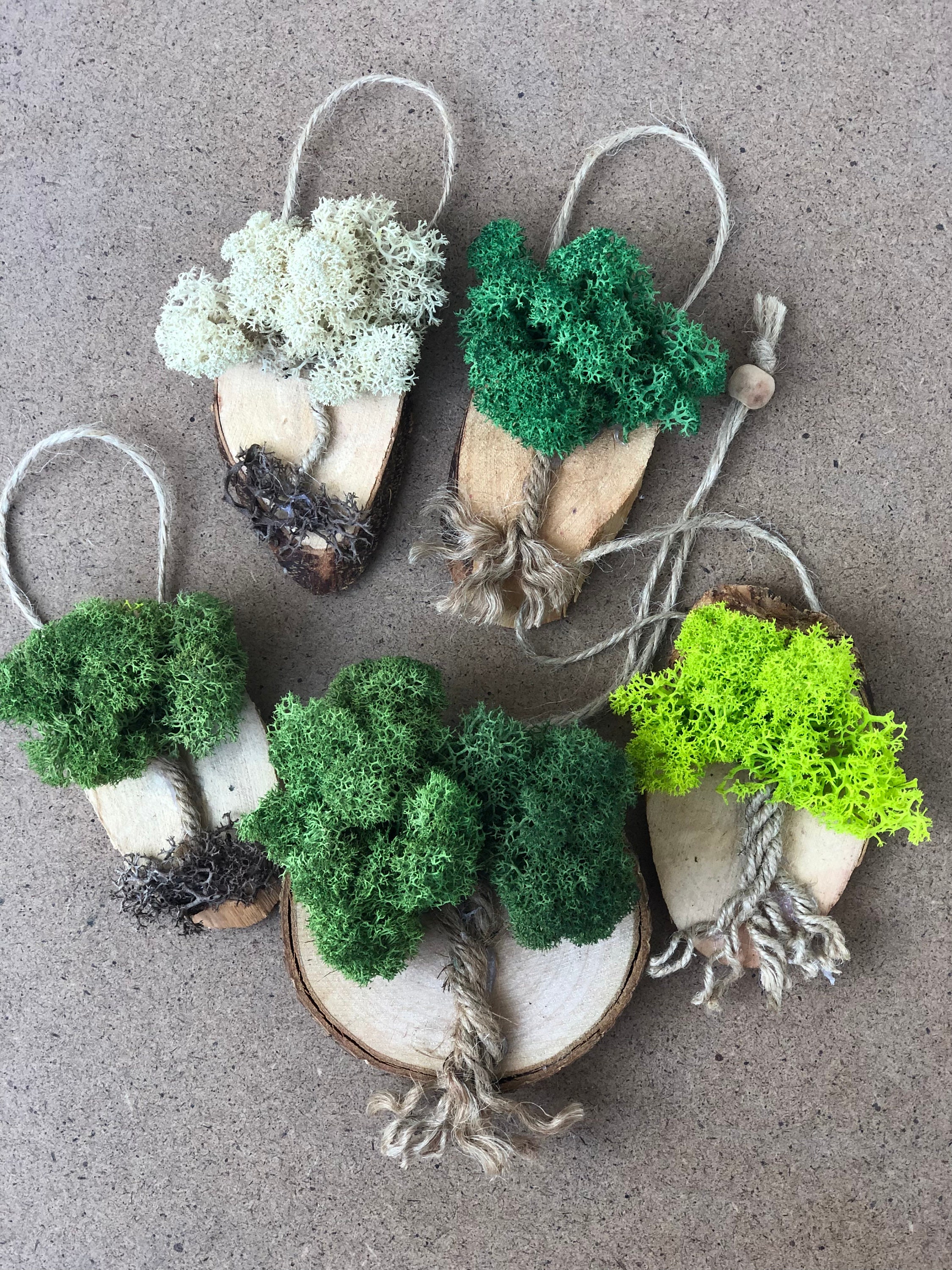 Fridge Magnets Set Moss Wall Art Unique Magnets Homemade Ornaments Eco ...