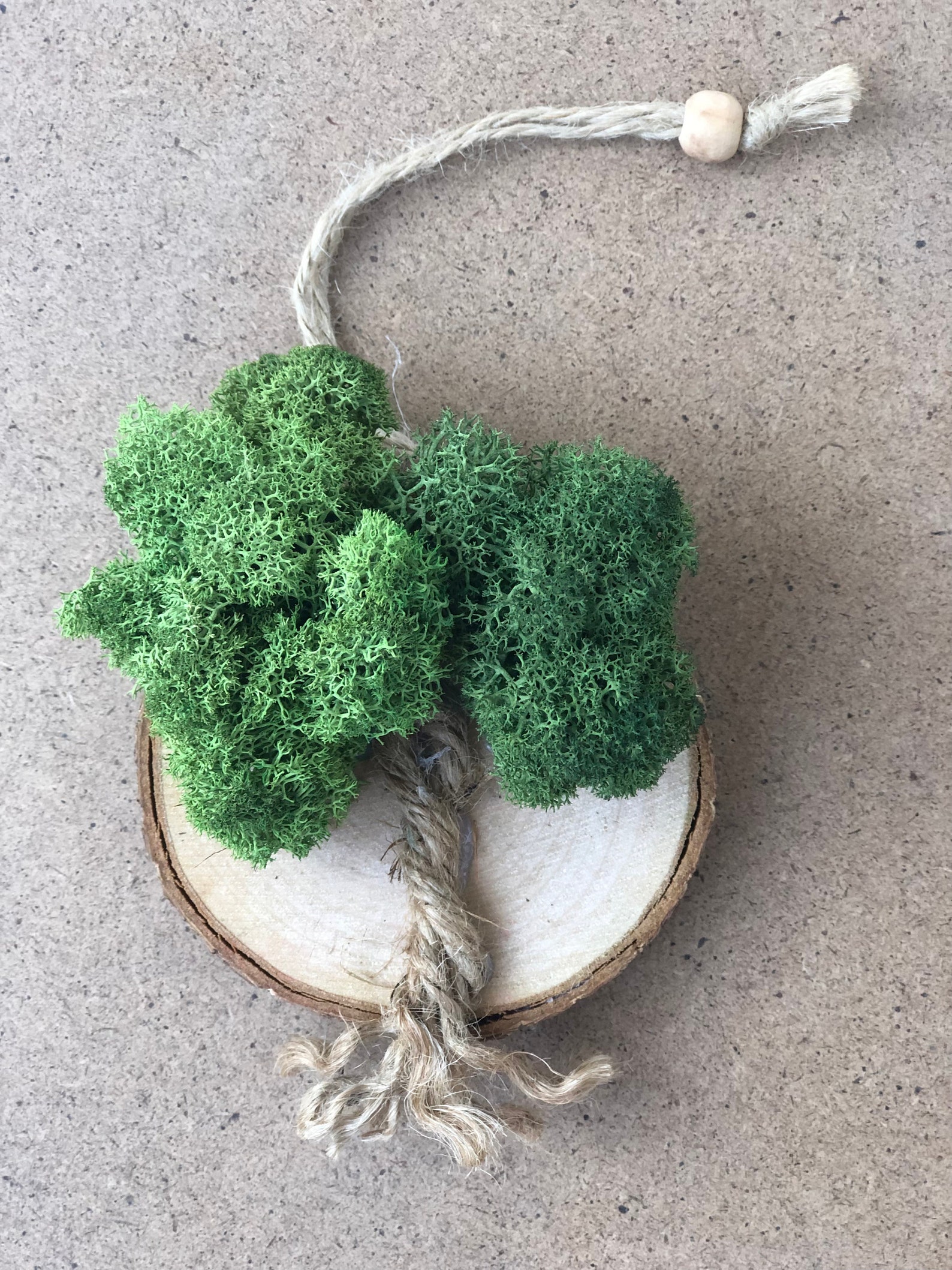 Fridge Magnets Set Moss Wall Art Unique Magnets Homemade Ornaments Eco ...