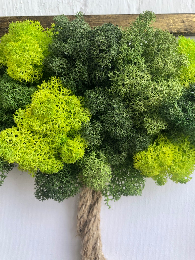 Green Moss Wall Art Preserved Moss Art Moss Tree Tree of - Etsy