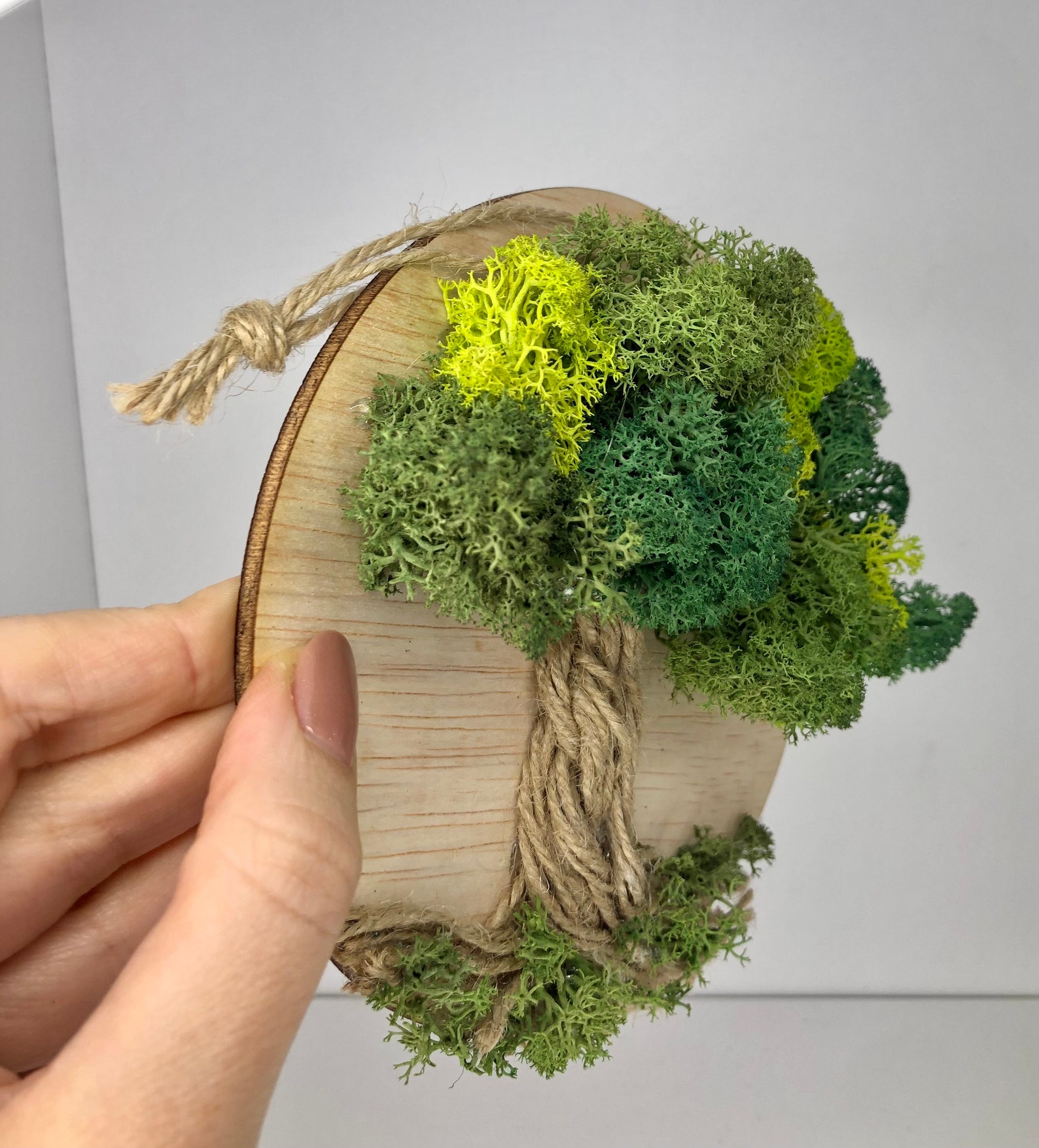 Tree Moss Wall Art, Preserved Moss Decor, Calming Nature Art, Tiny Tree ...