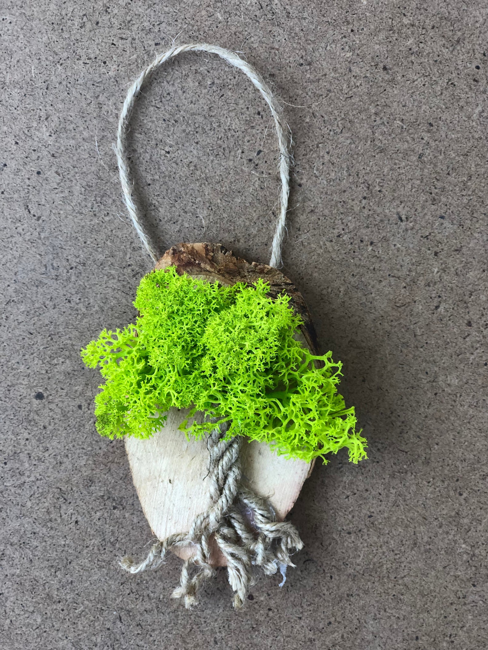 Fridge Magnets Set Moss Wall Art Unique Magnets Homemade Ornaments Eco ...