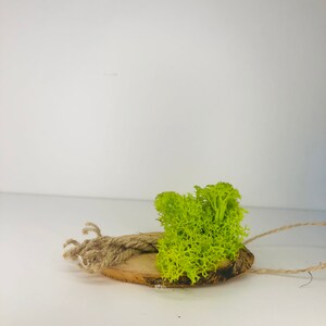 Moss Tree Fridge Magnet, Unique Plant Magnet, Eco Friendly Homemade ...