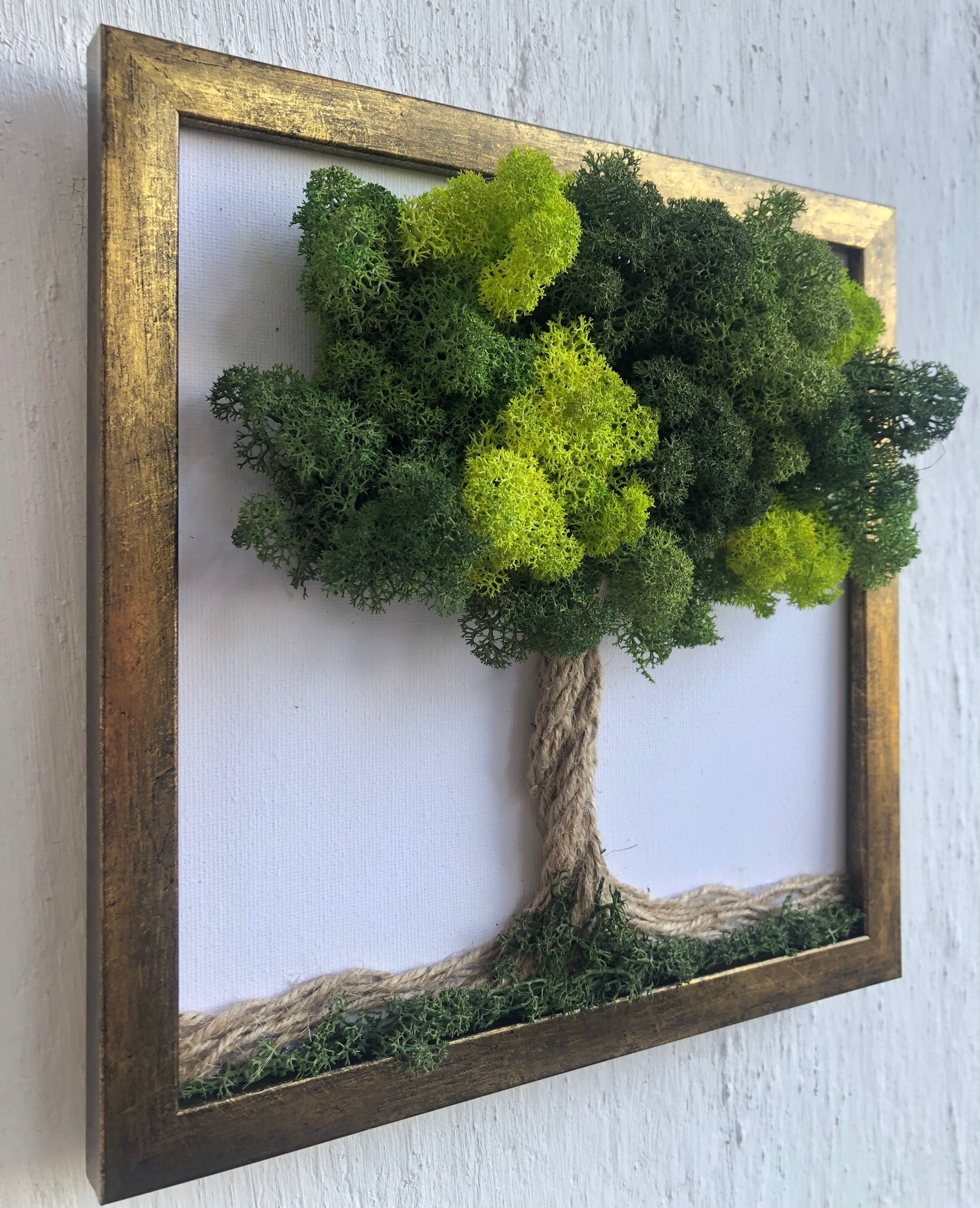 Green Moss Wall Art Preserved Moss Art Moss Tree Tree of - Etsy