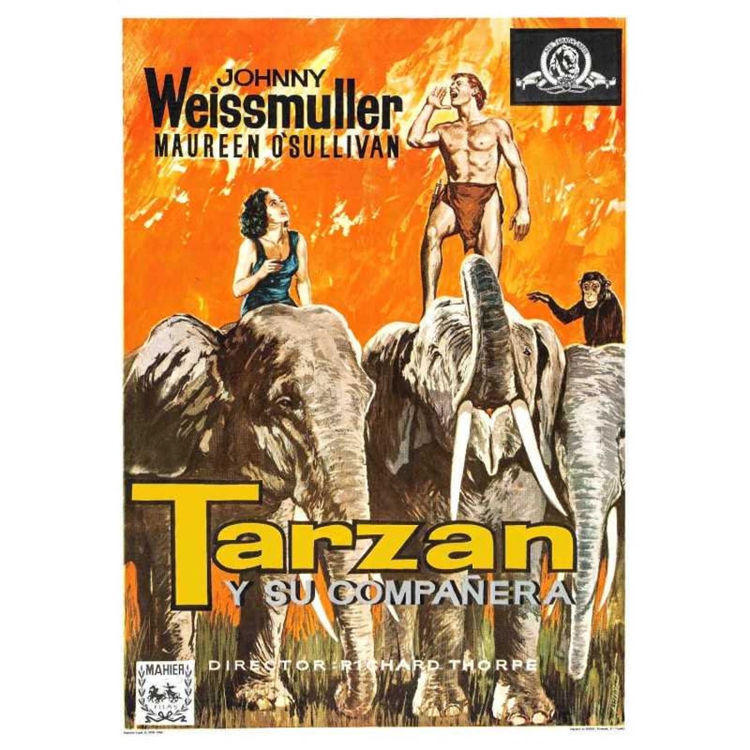 Poster or Print to Frame, Tarzan and His Companion - Etsy