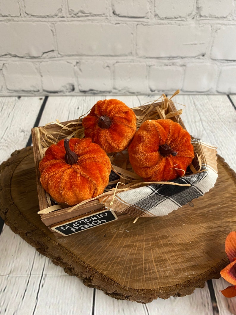 Pumpkin Patch Wood Crate Pumpkin Wood Crate Halloween Tiered - Etsy