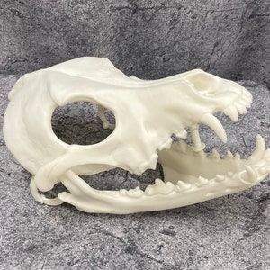 Skull Dog Head Base 3D Printed - Etsy