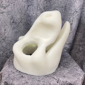 Toony Raptor Head Base - Etsy