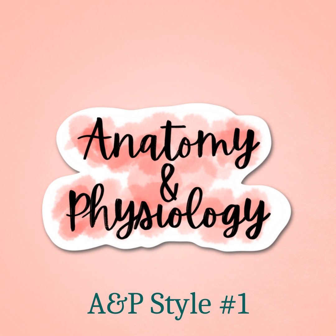 Anatomy and Physiology Sticker A&P Sticker Gross Anatomy | Etsy