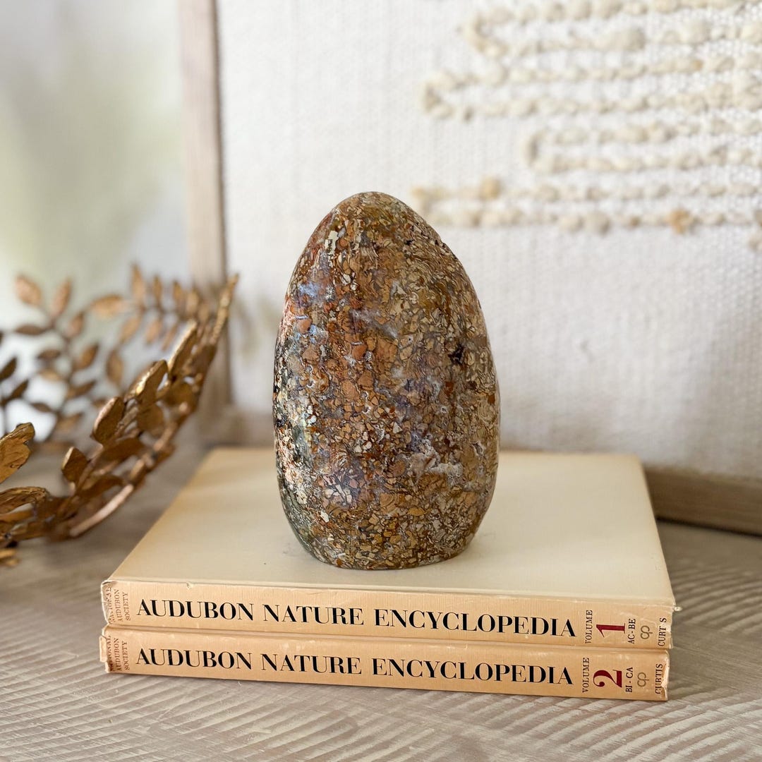 Ibis Jasper Freeform, Agatized Jasper, Brecciated Jasper, Natural Home ...