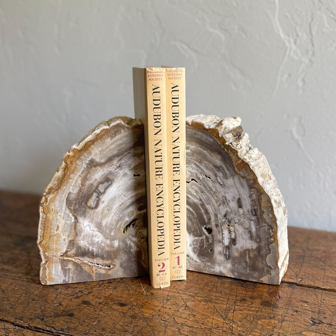 Large Petrified Wood Bookends, Natural Stone Bookends, Petrified Wood ...
