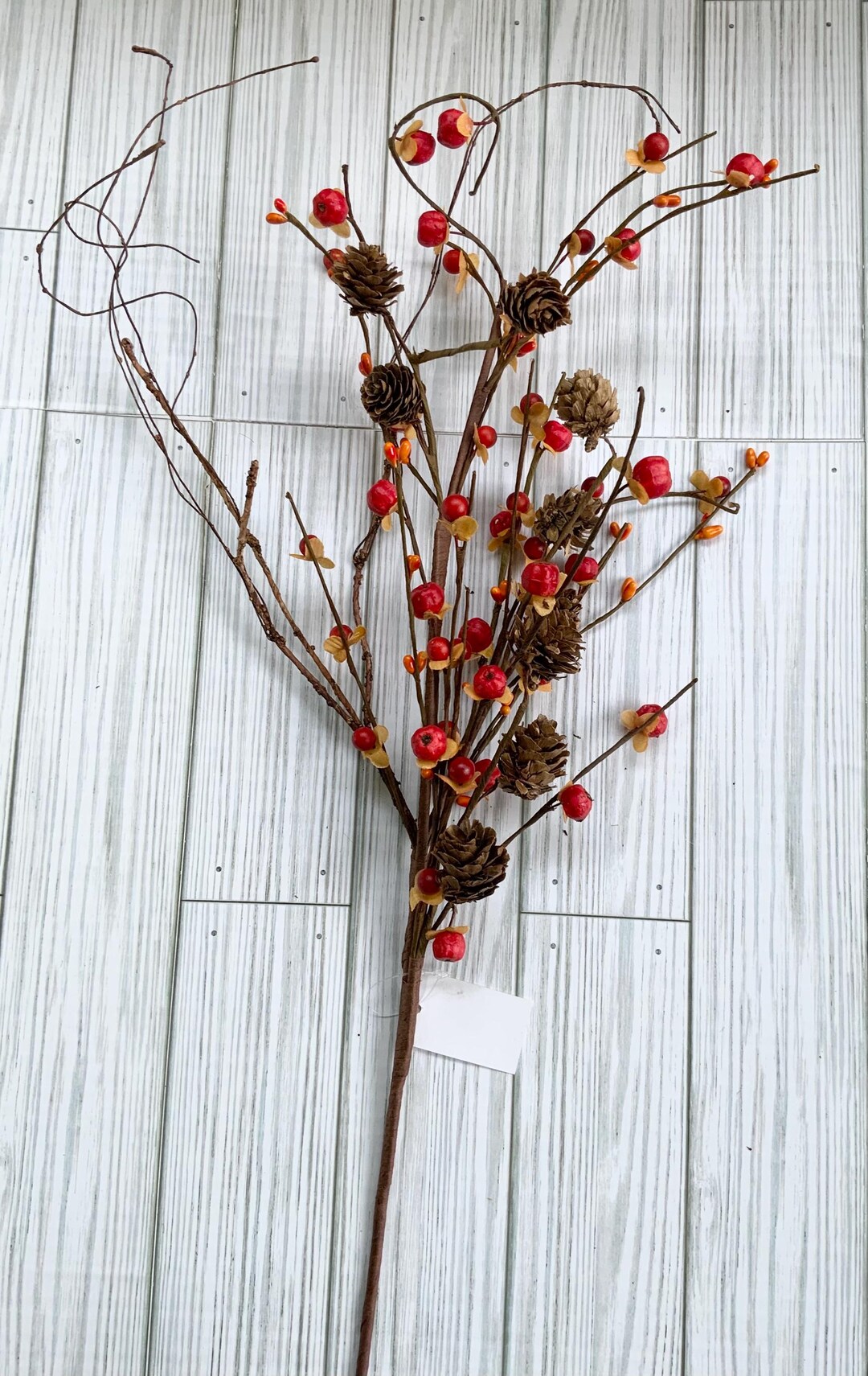 Bittersweet Pine Cone Orange Pip Berry 32”L X 10”W X 5” Stem; Fall ...