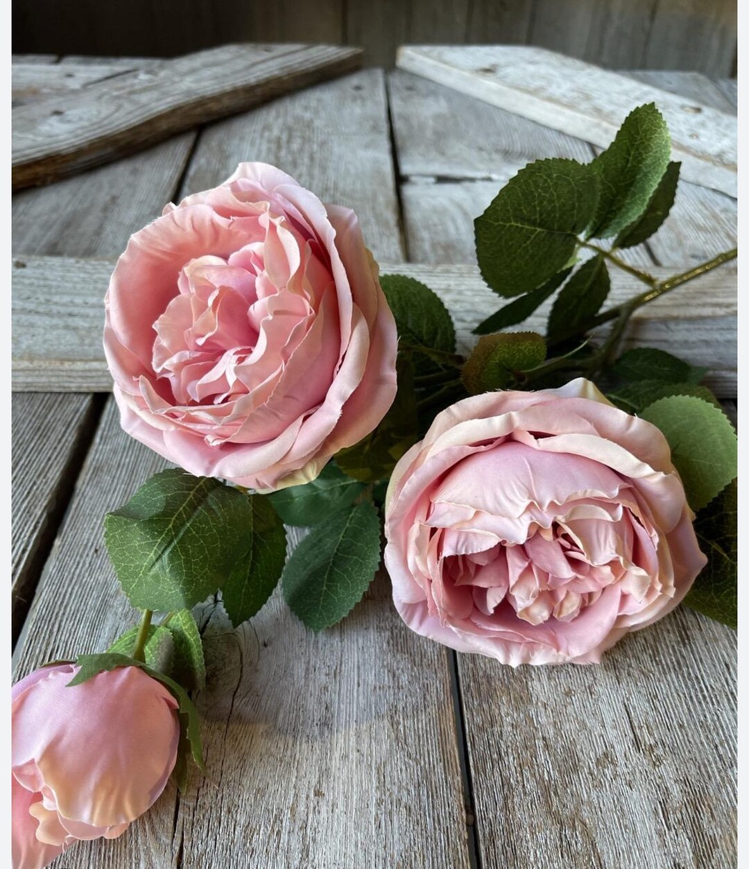 Mauve Austin Rose 30” Spray; Mother’s Day Mauve Austin Rose 30” Spray ...