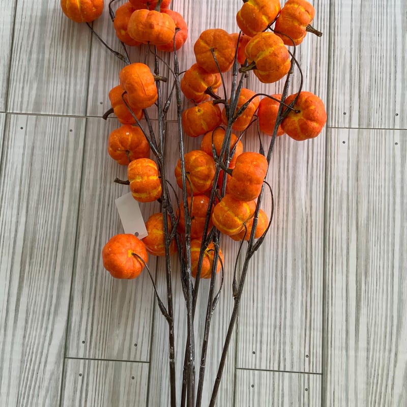 Dried Pumpkin Stem - Etsy