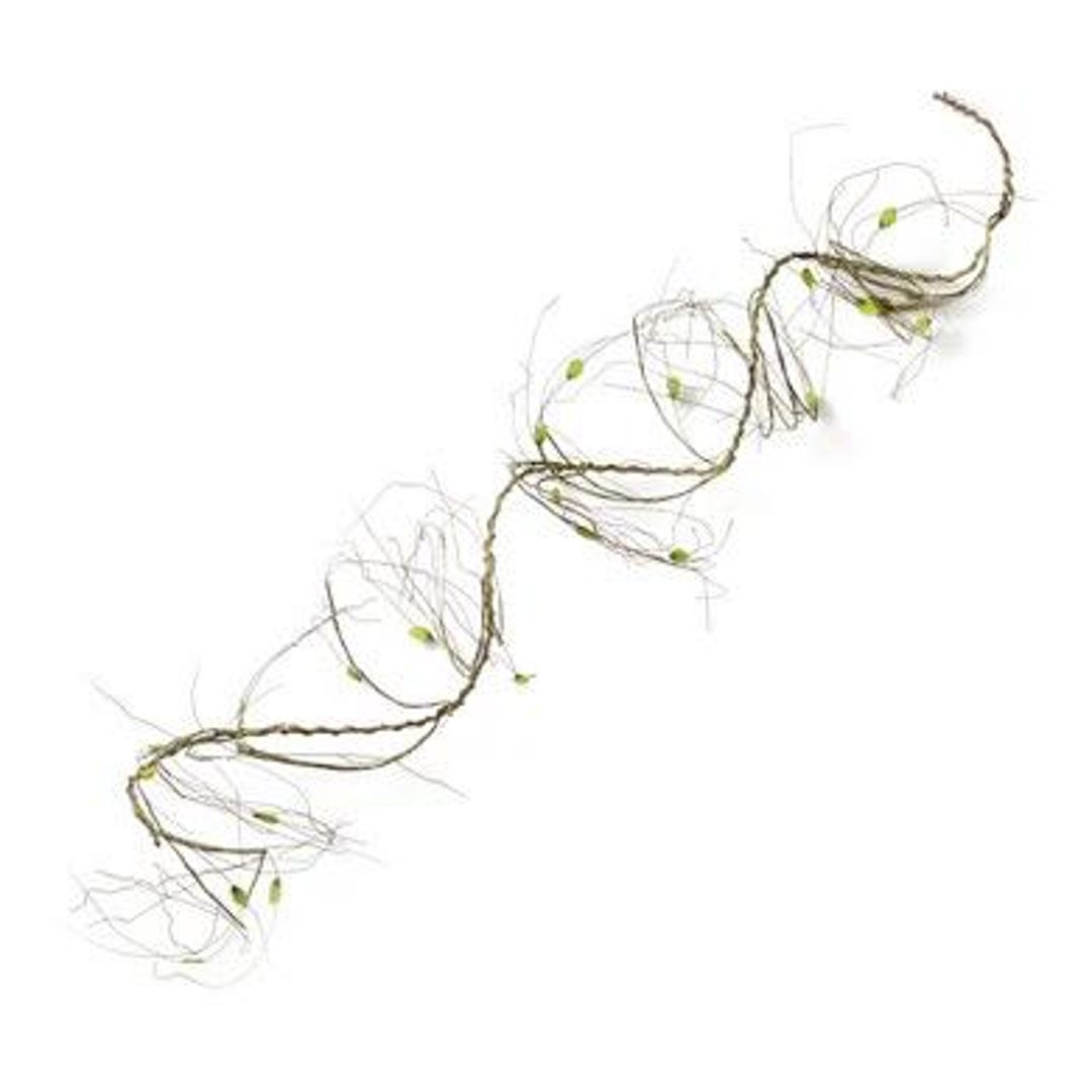 Green 52” Twig Vine With Leaves Garland; Seasonal Green Vine Leaves 52 ...