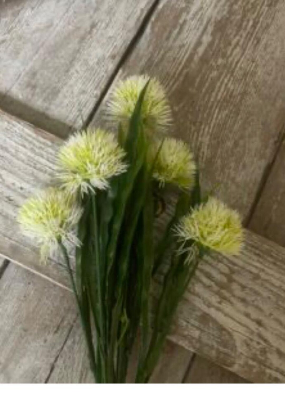 Cream Pom Pom 15”L X 9”W X 3”D 5 Stem Bush, Spring/summer Florals - Etsy