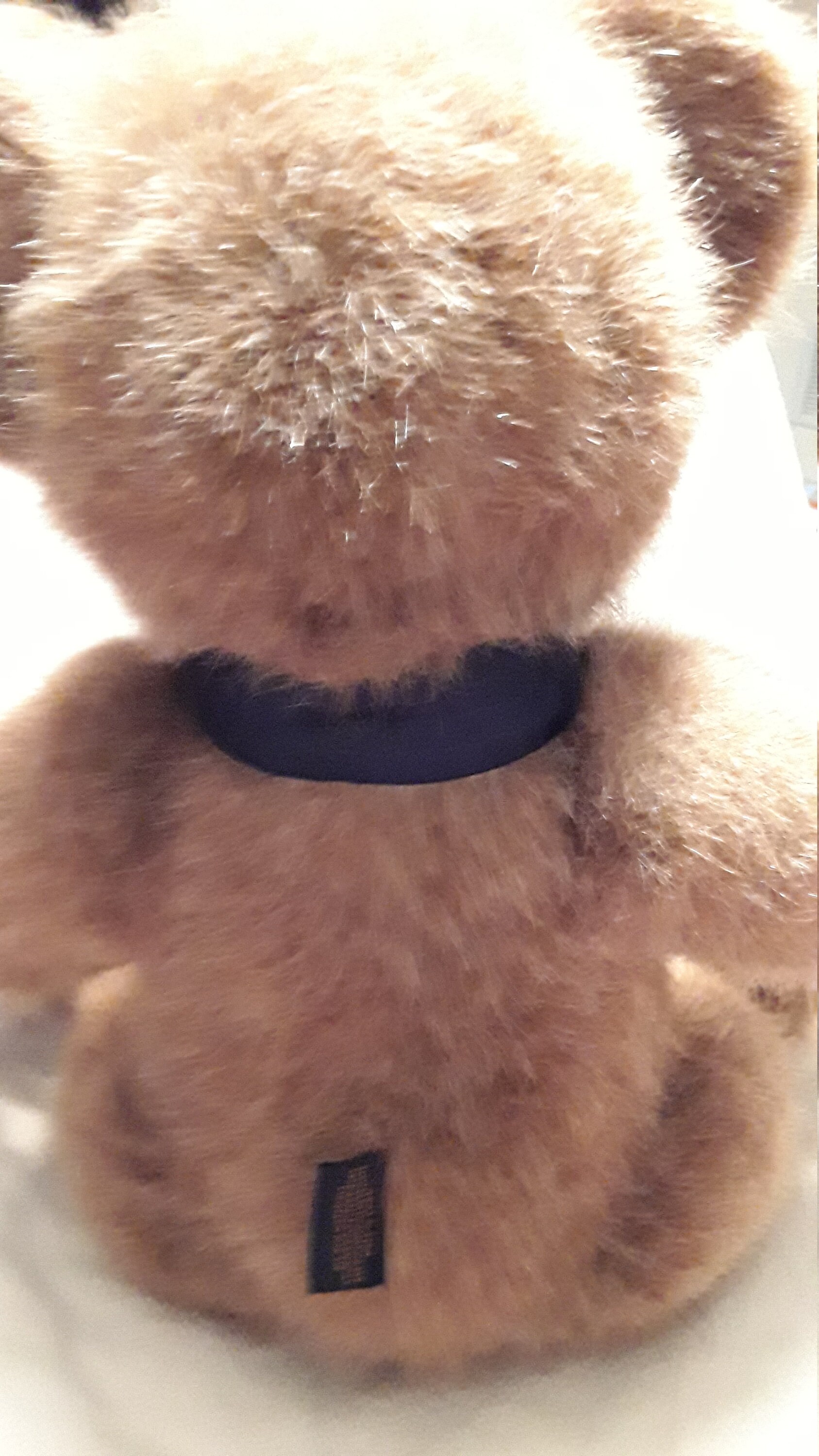 BOYDS LARGE BEAR 1988-2002 collection euc | Etsy