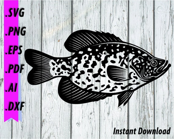 Crappie SVG Crappie fishing Clipart Sportfishing window | Etsy