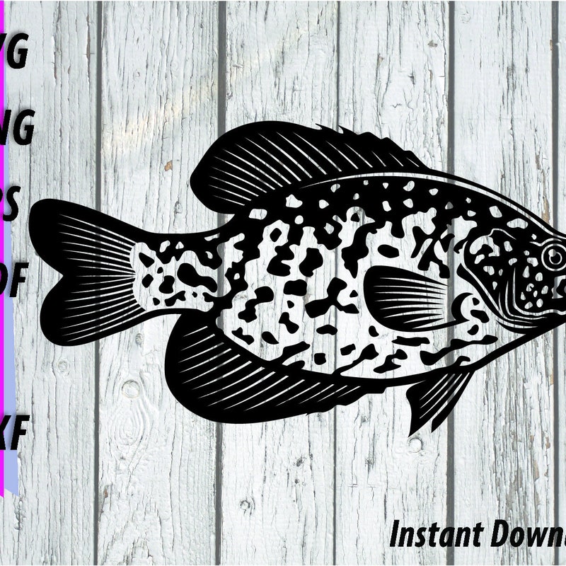 Crappie Svg - Etsy