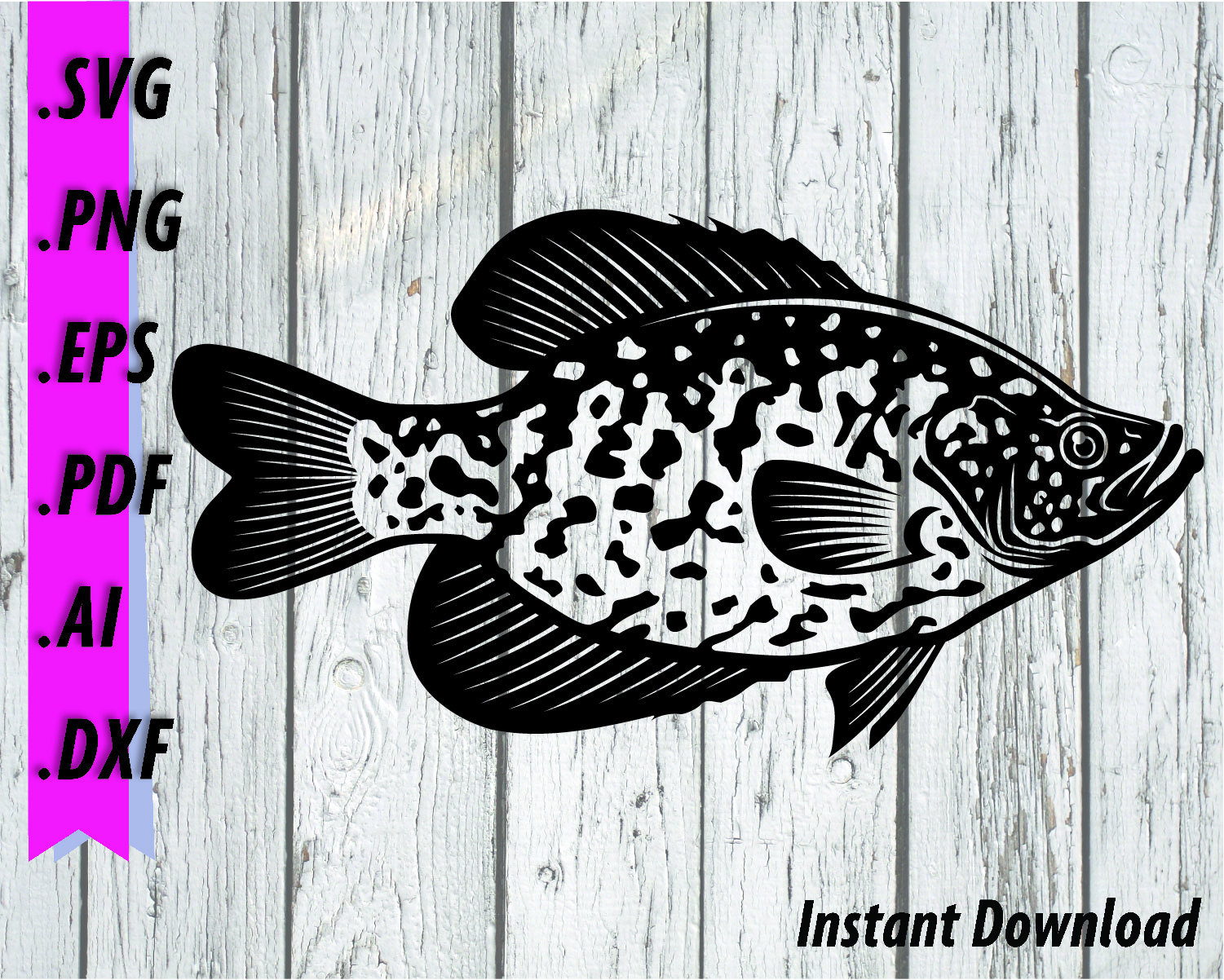 Crappie SVG - Crappie Fishing Clipart - Sportfishing Window Decal Cut ...
