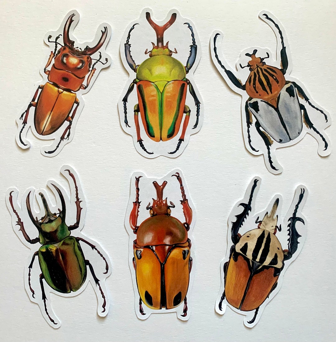 Beetle Stickers (pack of 6) - Etsy