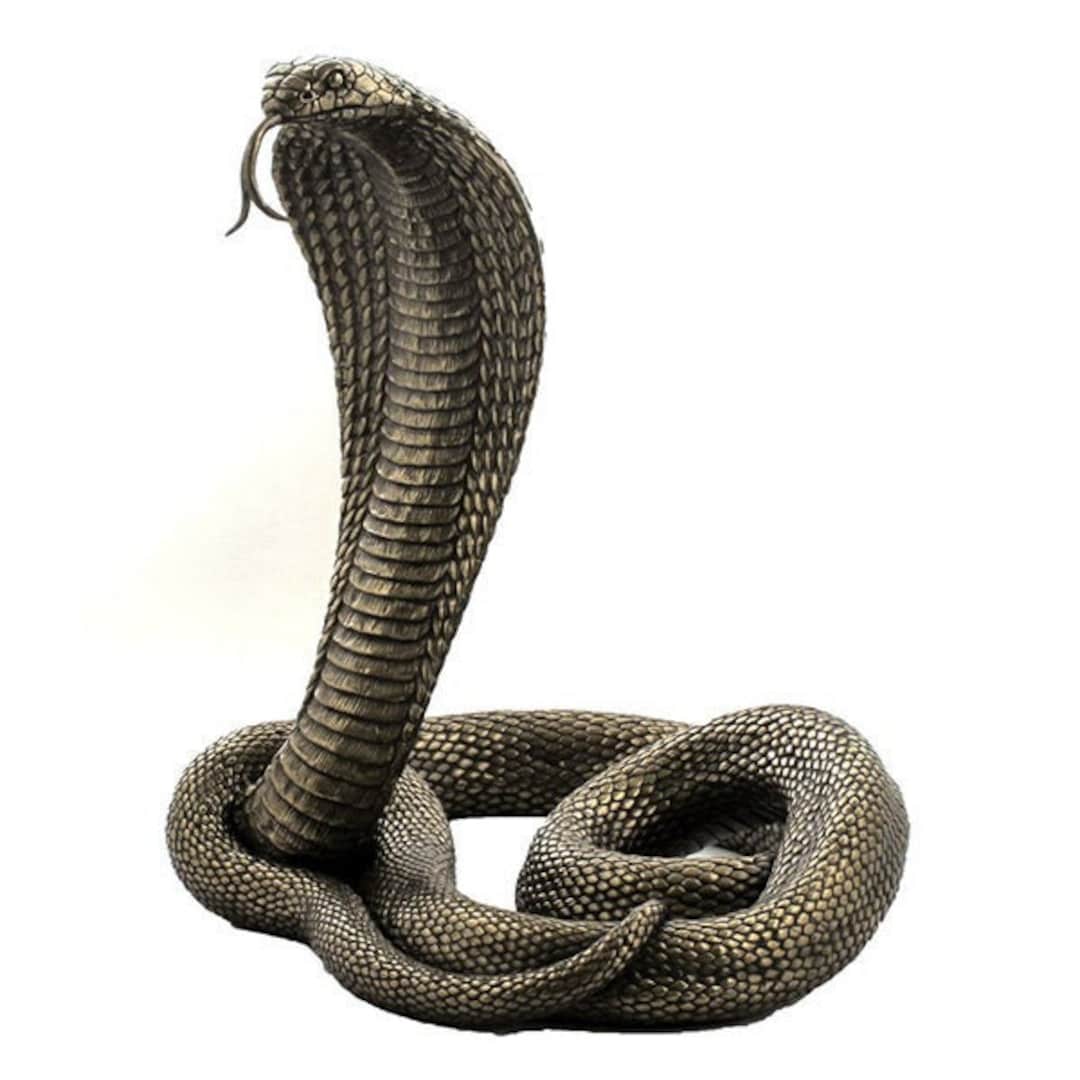 King Cobra Veronese Bronze Statue - Etsy