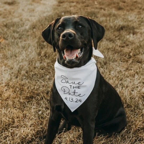 Save the Date Dog - Etsy