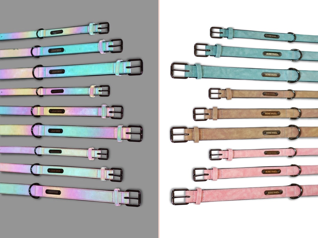 Reflective Vegan Leather Dog Collar: Iridescent Holographic Buckle ...