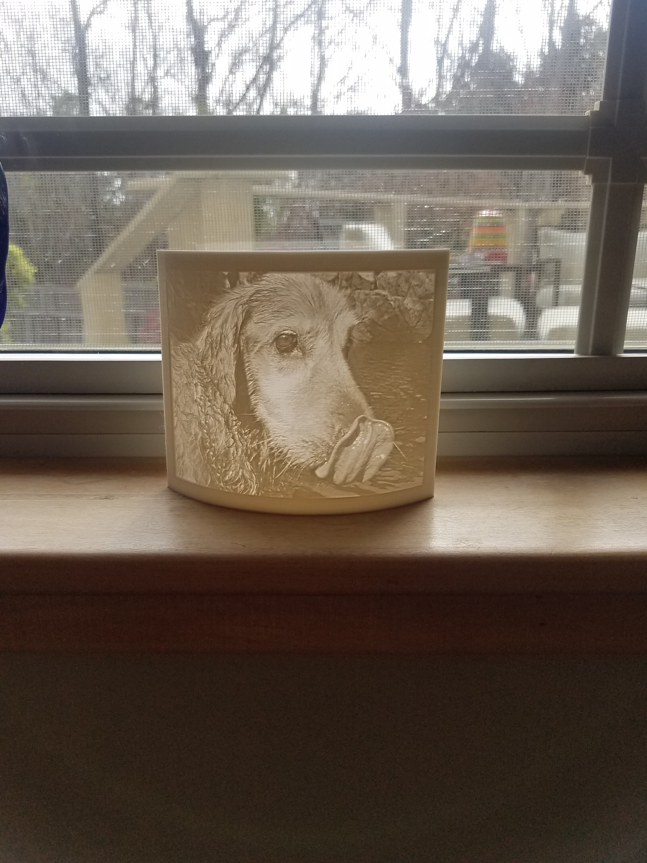 Custom 3D Printed Night Light Lithophane - Etsy