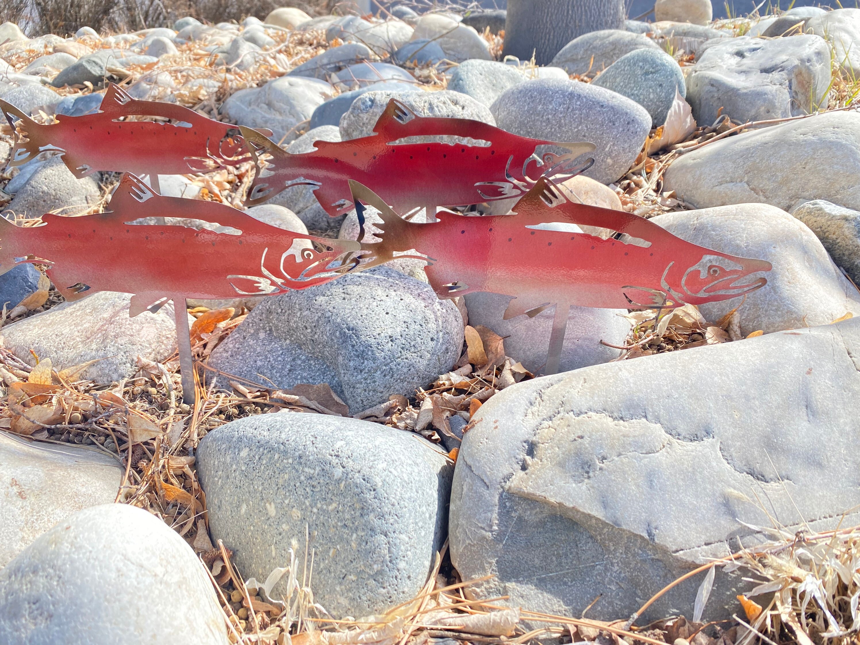 Salmon Rock Bed Decor Set of 4, Metal Salmon Metal Art, River Rock ...