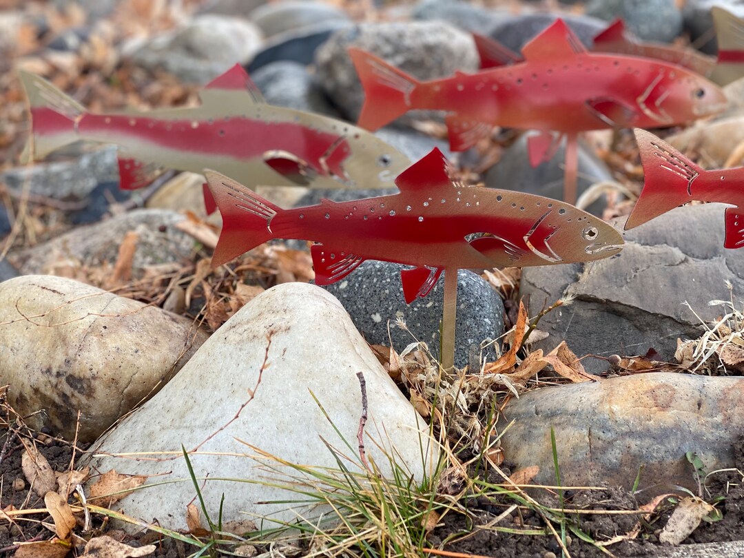 Golden Rainbow Trout Rock Bed Decor, Metal Salmon Metal Art, River Rock ...