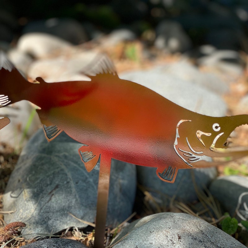 Sockeye Salmon - Etsy