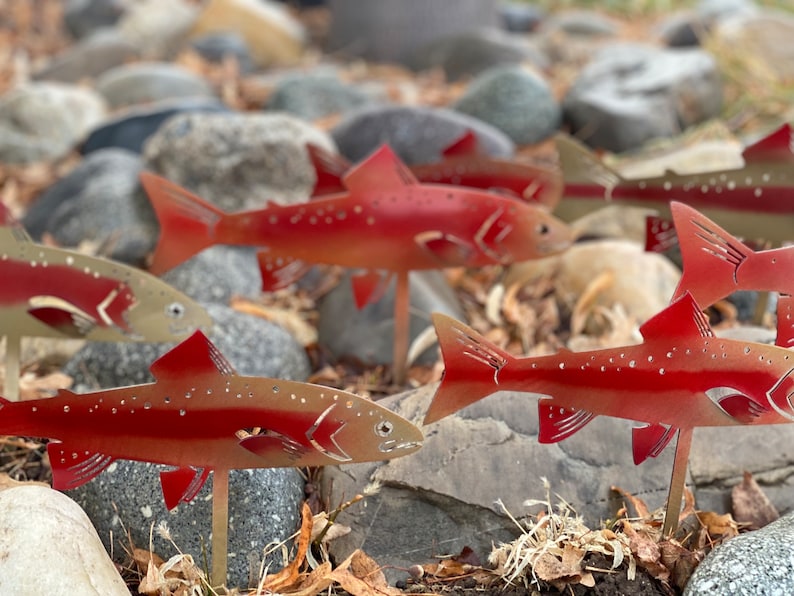 Trout Rock Bed Decor Set of 4, Metal Golden Trout Metal Art, River Rock ...