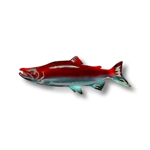 Brightly Colored Salmon Metal Art, King Salmon Decor, Chinook Salmon ...