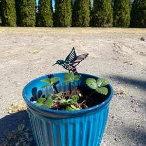 Metal Hummingbird Plant Stake With Floral Design Garden Markers Garden ...