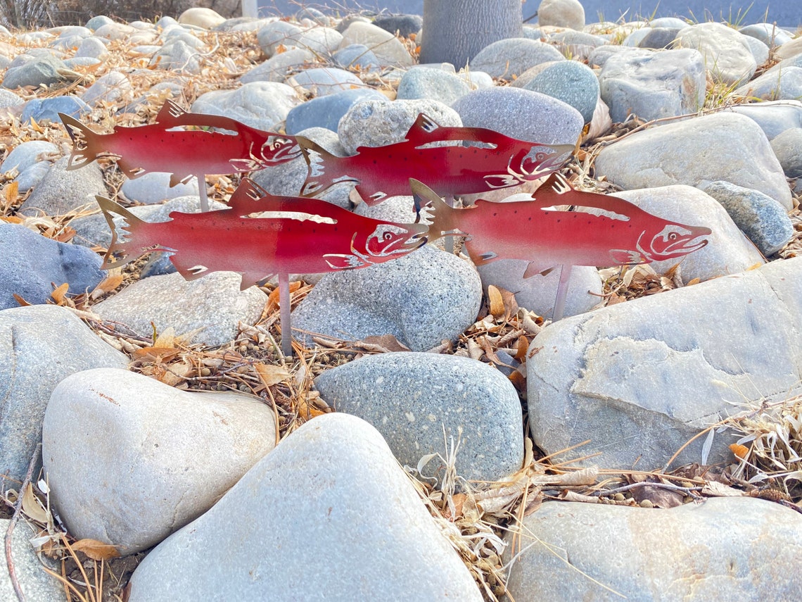 Salmon Rock Bed Decor Set of 4, Metal Salmon Metal Art, River Rock ...