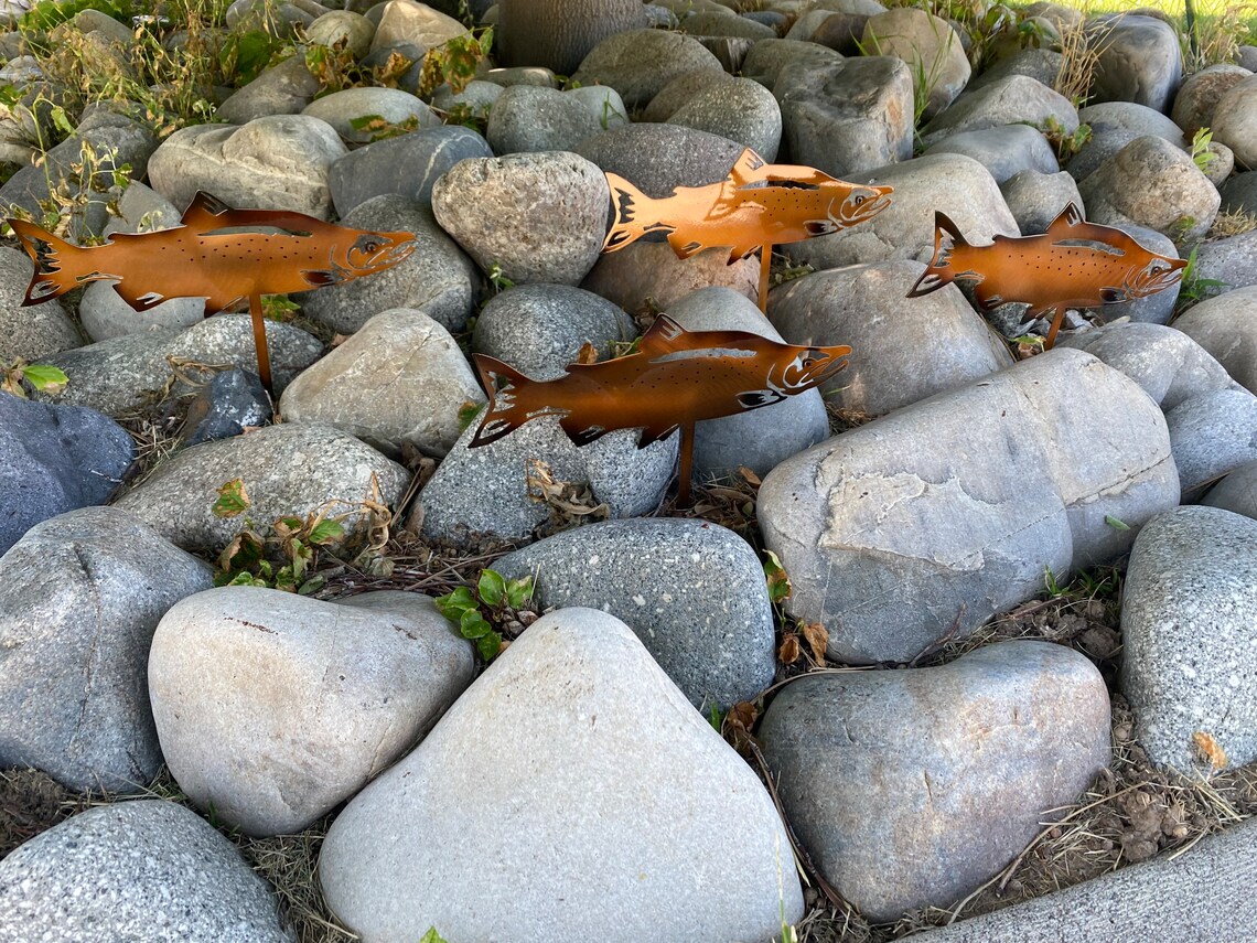 Salmon Rock Bed Decor Metal Salmon Metal Art River Rock - Etsy