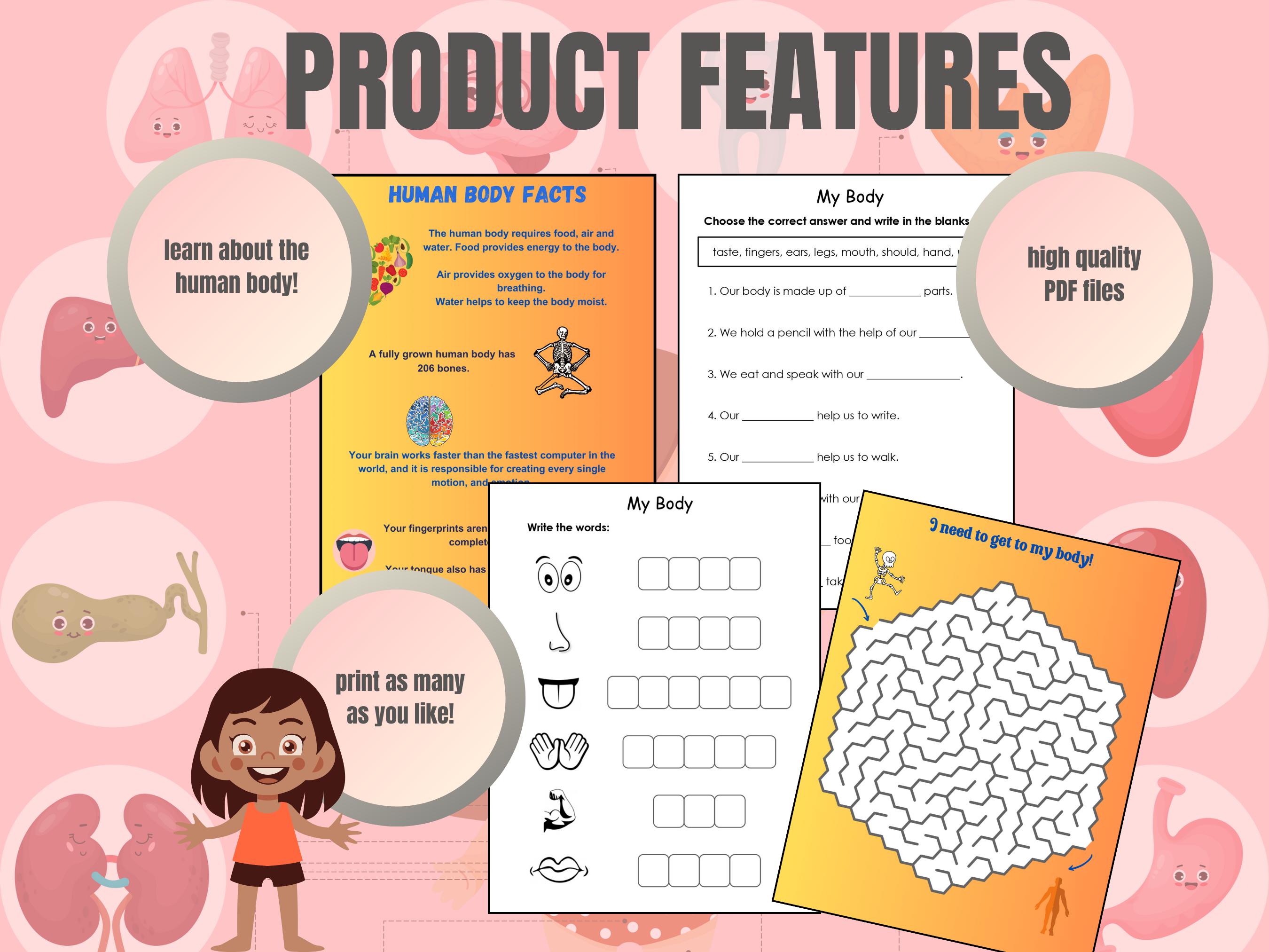 Human Body Worksheets, Kids Activities, Human Anatomy, Learn About the ...