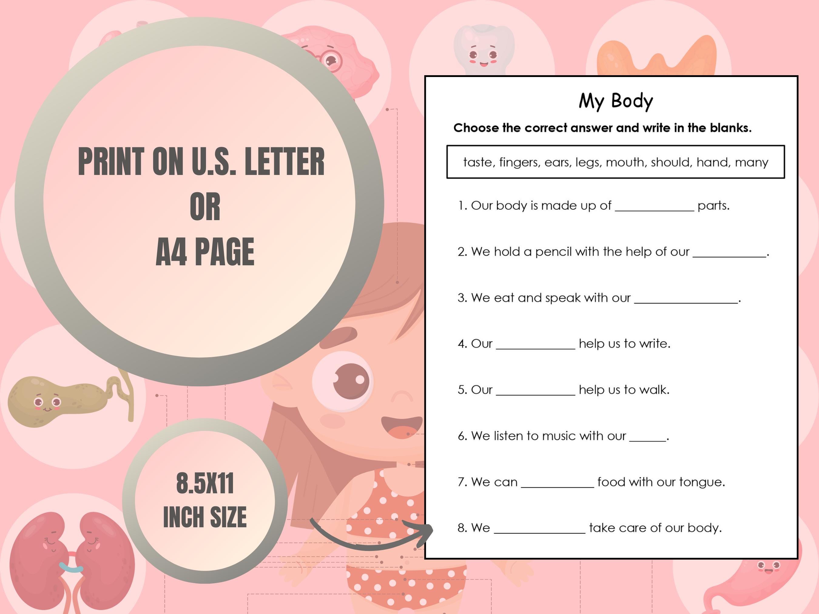 Human Body Worksheets, Kids Activities, Human Anatomy, Learn About the ...