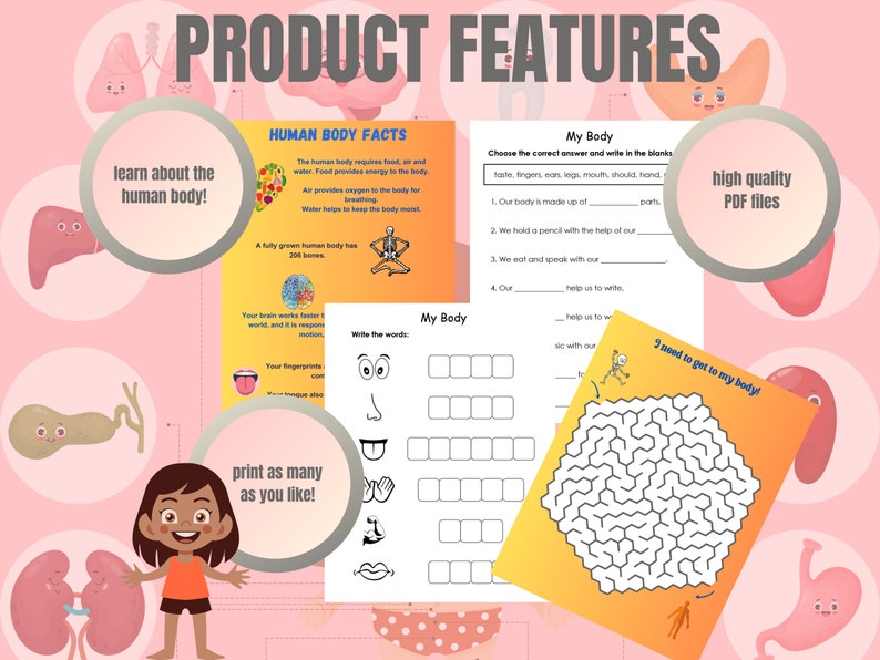 Human Body Worksheets, Kids Activities, Human Anatomy, Kids Activity ...