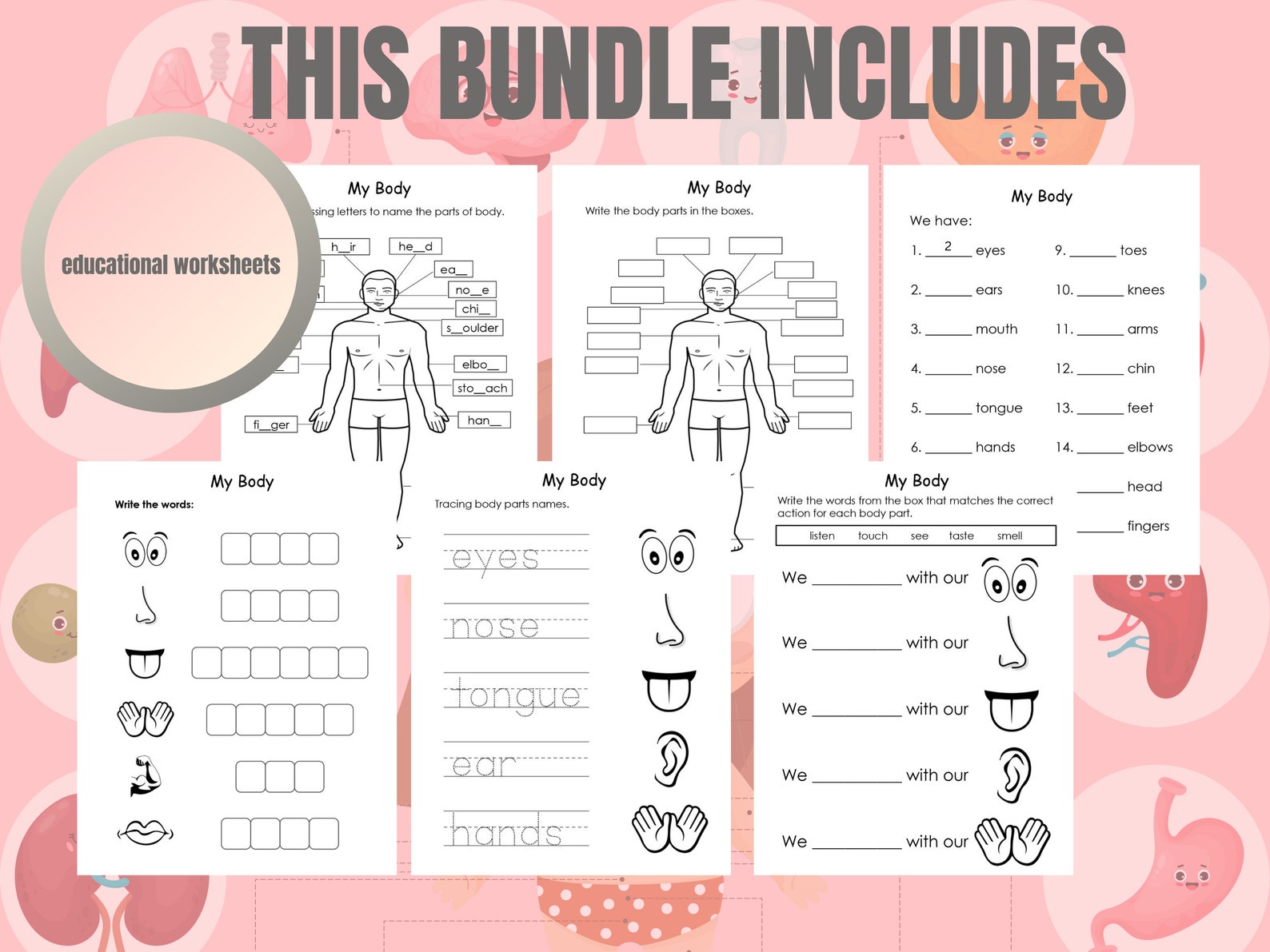 Human Body Worksheets, Kids Activities, Human Anatomy, Kids Activity ...