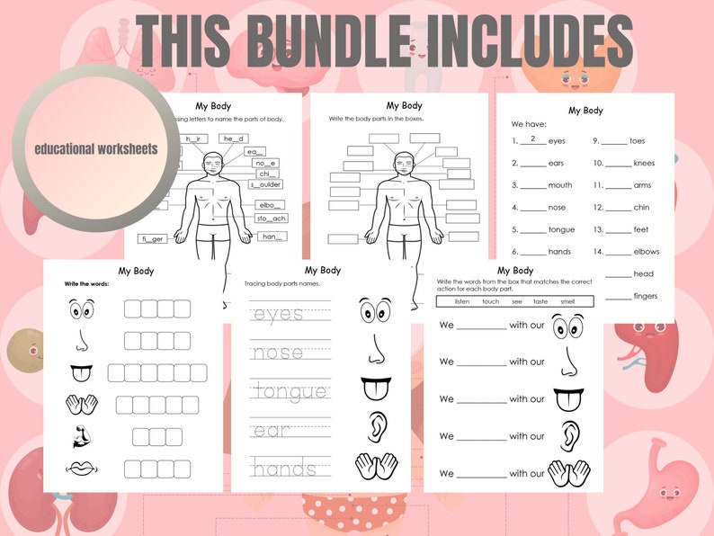 Human Body Worksheets, Kids Activities, Human Anatomy, Kids Activity ...
