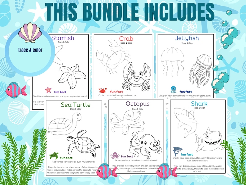 Sea Animal Activity Pages | Ocean Fun Facts | Sea Life Coloring ...