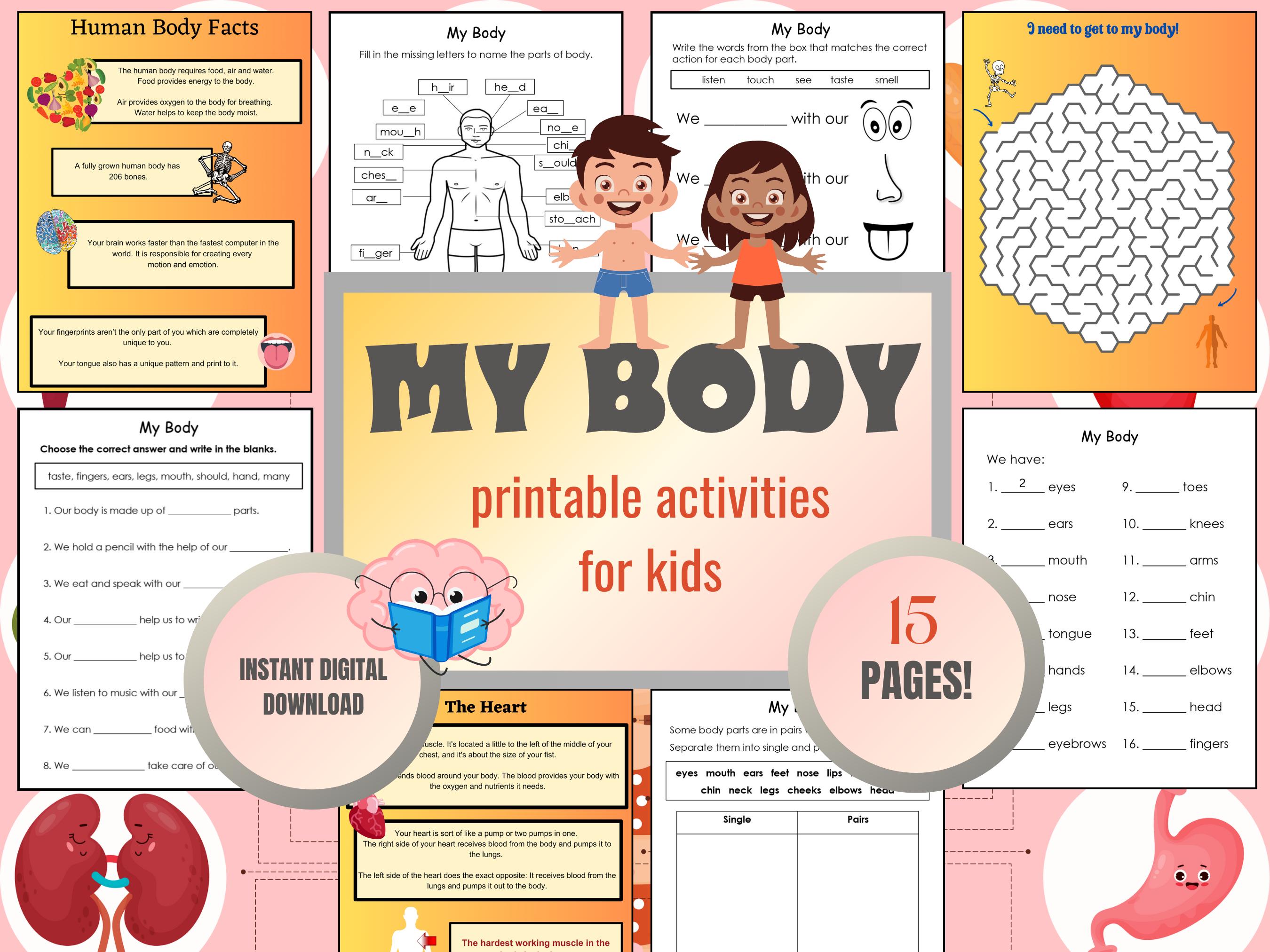 Human Body Worksheets, Human Anatomy, Learn About the Human Body, My ...