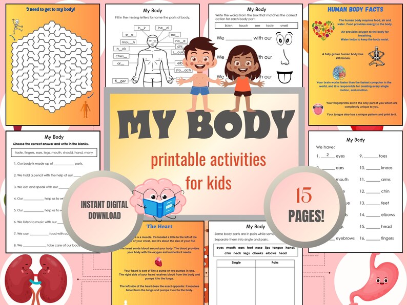 Human Body Worksheets, Kids Activities, Human Anatomy, Learn About the ...