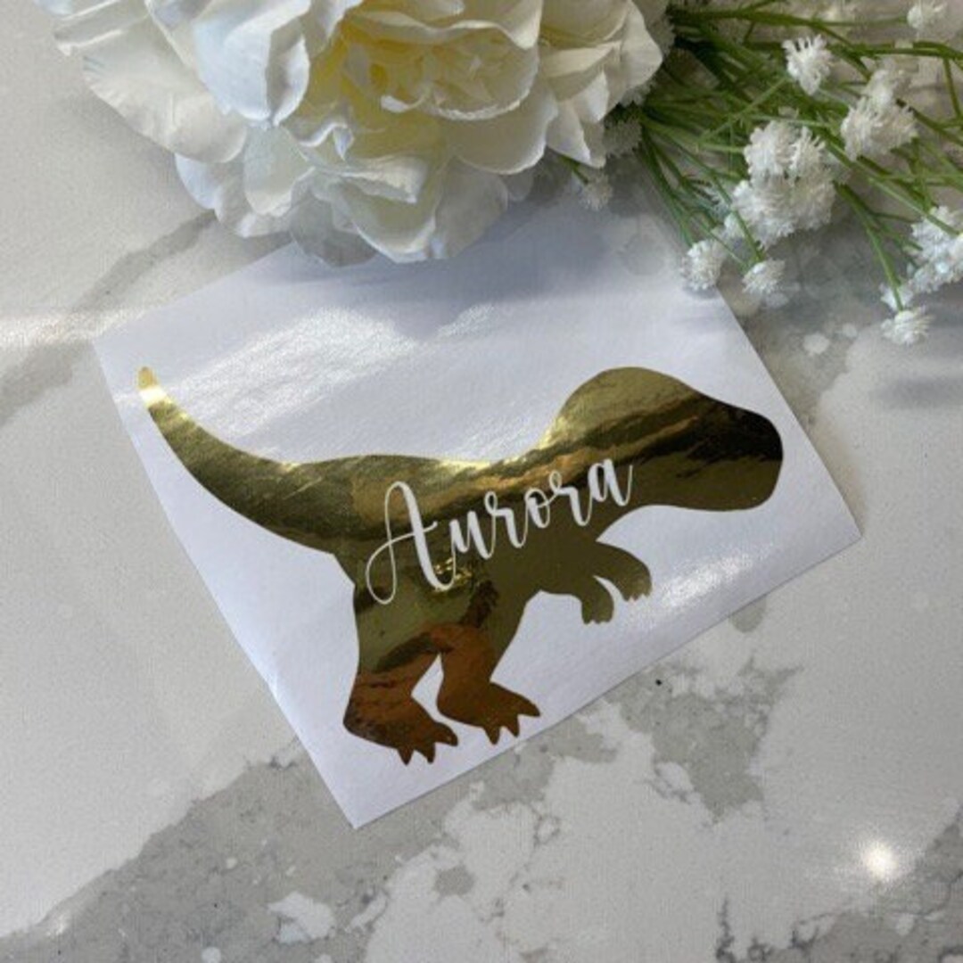 Personalised T Rex Name Decal DIY Vinyl Decal for Water - Etsy UK