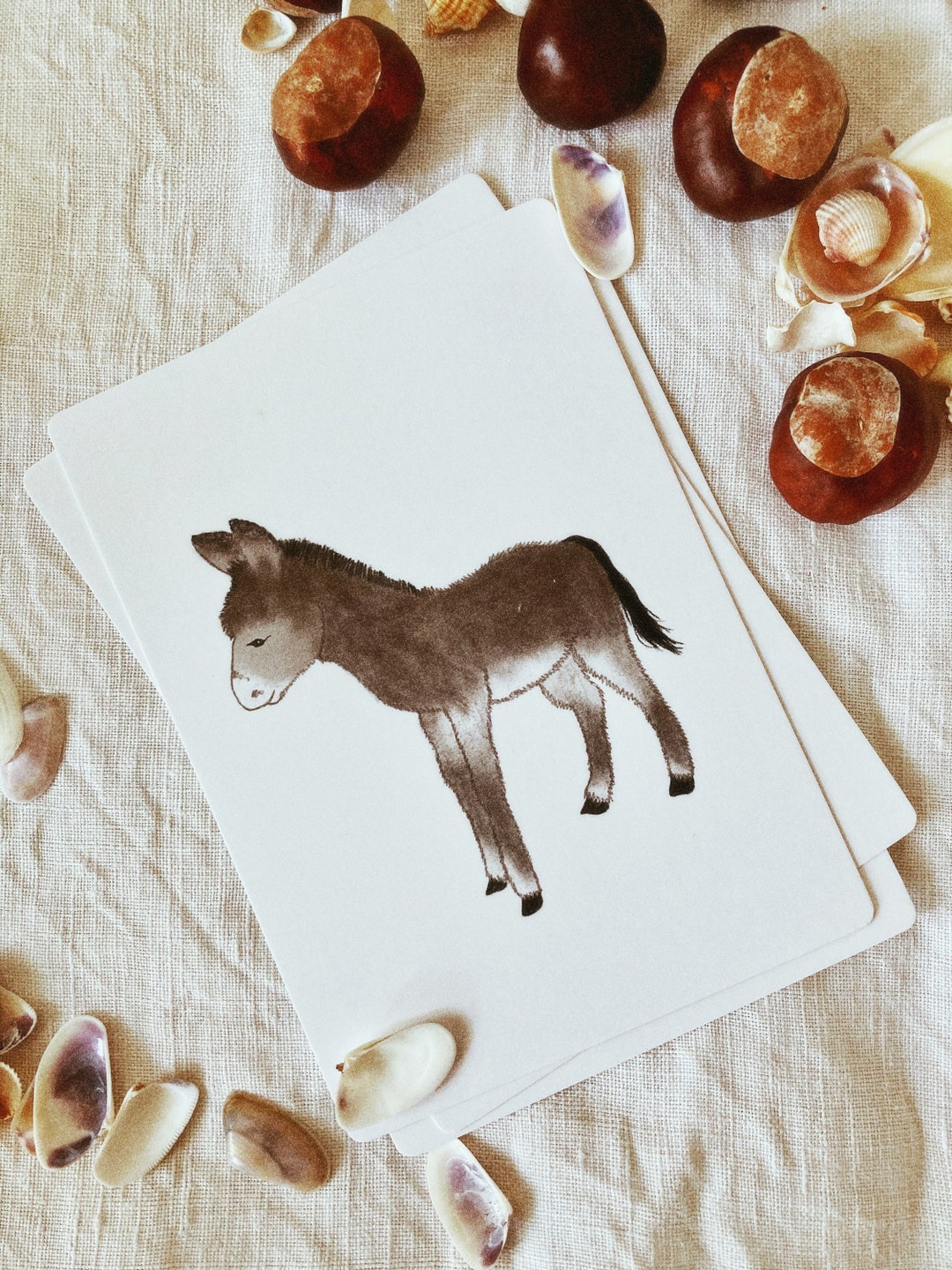 Postcard Donkey - Etsy