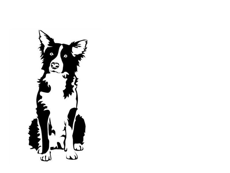 Border Collie Svg, Border Collie Dog Breed, Cute Svg File - Etsy