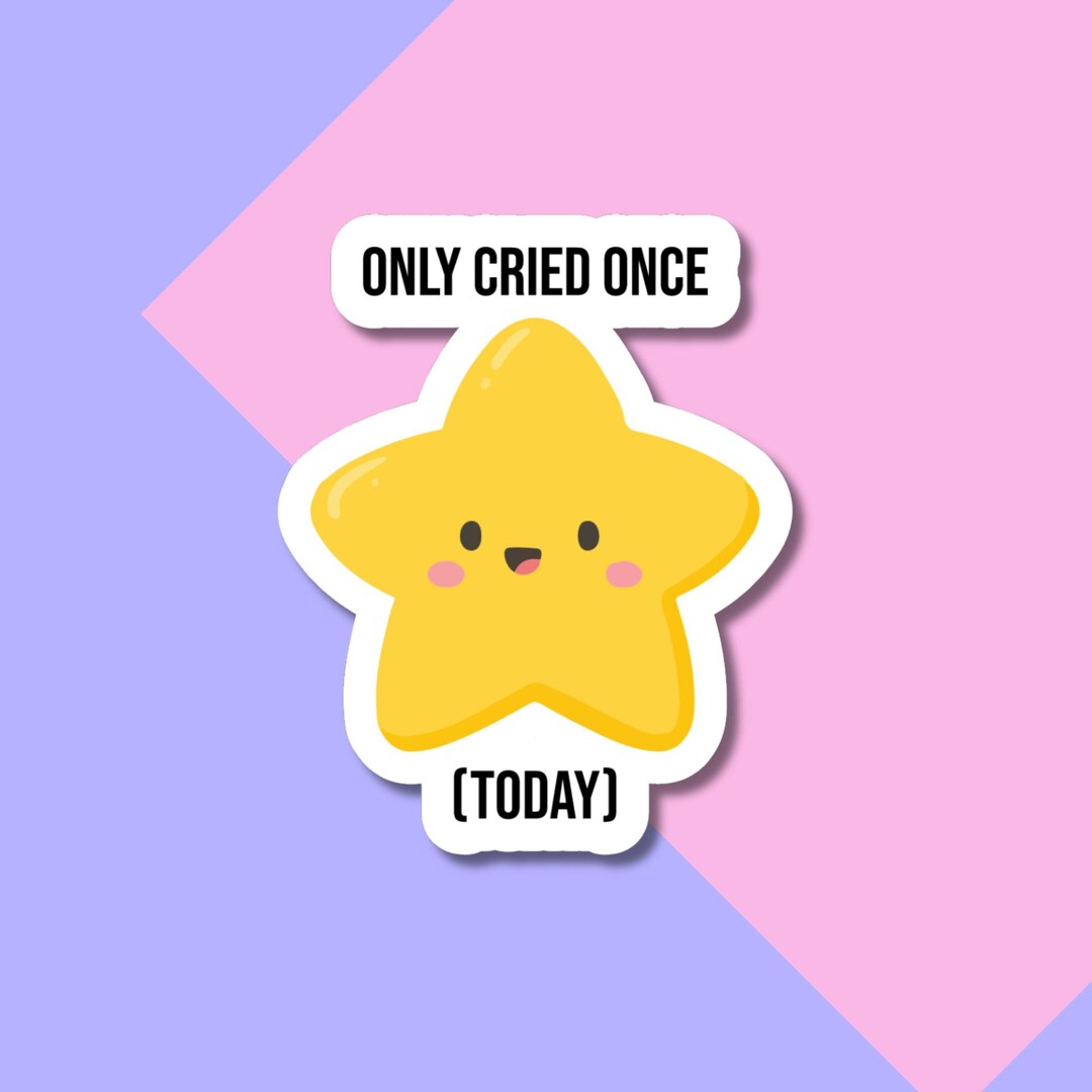 Only Cried Once Stickers, Funny Stickers for Planners, Water Bottles ...