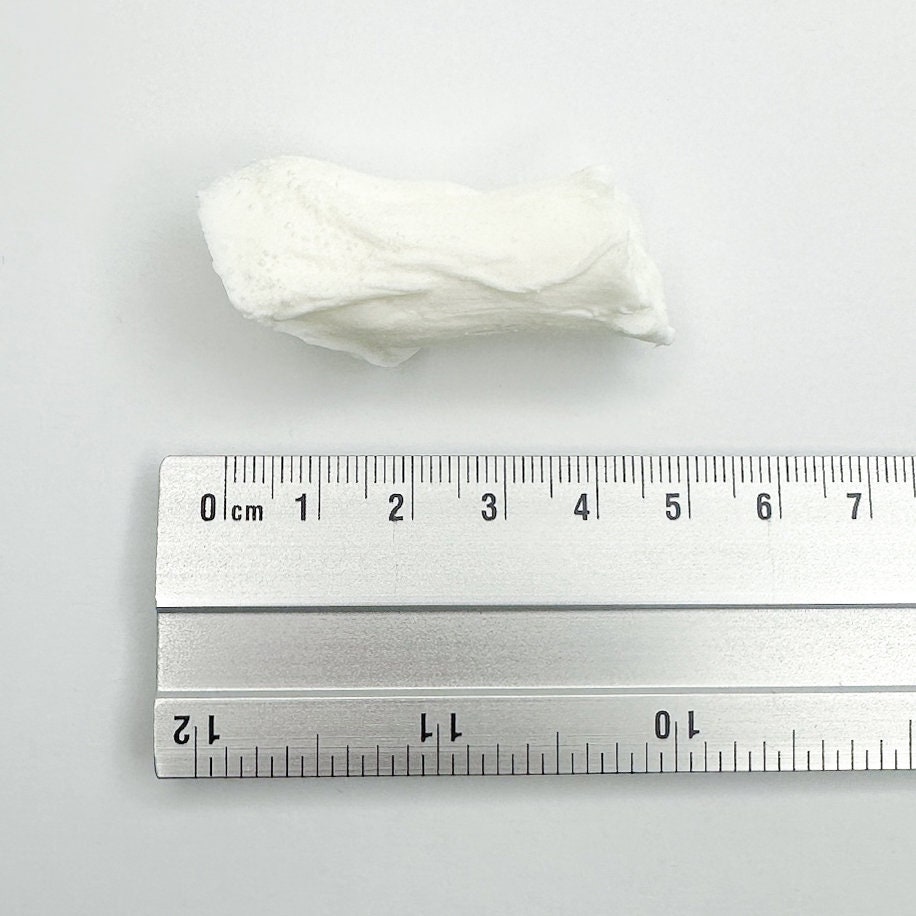 Open Fracture Bone (REUSABLE) - Special Effects Makeup Prop for ...