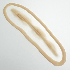 Cut Prosthetic - Special Effects Makeup Prosthetic for Halloween | long ...